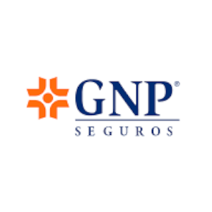 Nuestros agentes - AISeguros